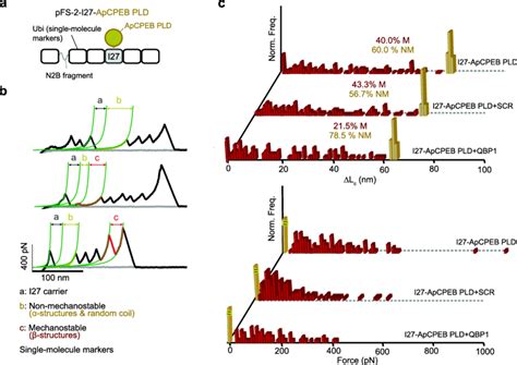 Amf Smfs Characterization Of The Apcpeb Pld Monomer A Schematic