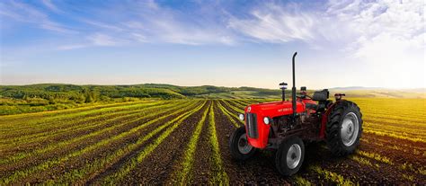 IMT 539 2 DI TAFE Tractors