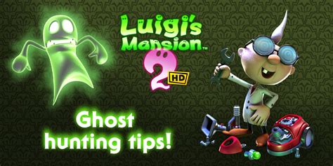 Professor E Gadds Top 10 Tips For Ghost Hunting Success News