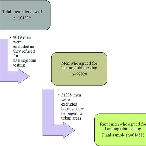 Conceptual Framework Showing Factors Affecting Anaemia Download