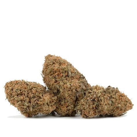 King Sherb Strain Ogkb X Blue Sherbert Cross 20 23 Thc