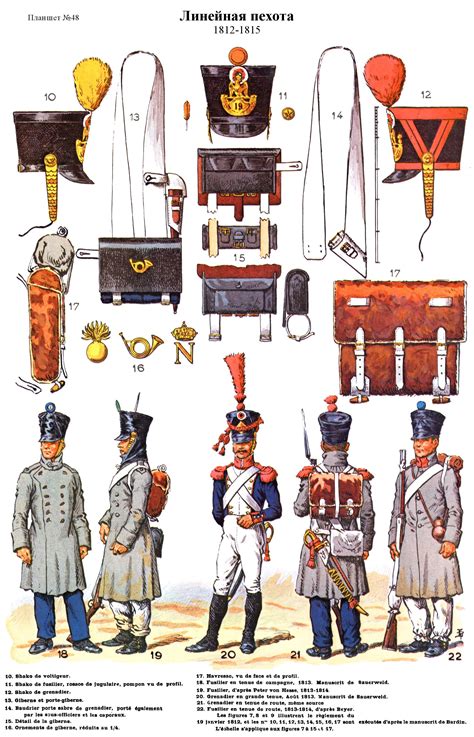 Inffanterie De Ligne 1813 1814 Pl 48 2 Guerres Napoléoniennes