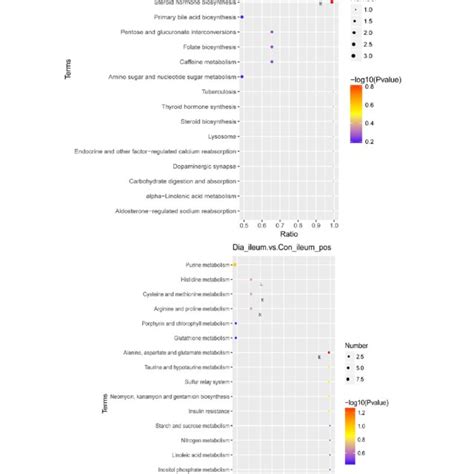 Bubble Diagram For Kegg Enrichment Analysis Of Differential Metabolites