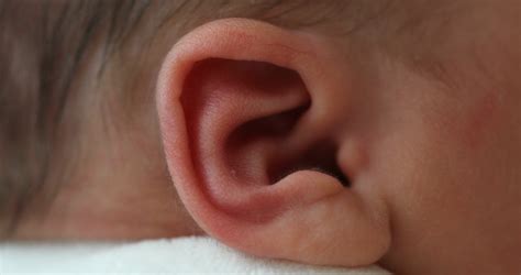 Tiny Detail Macro Close Up Of Infant Stock Footage Sbv 348433232