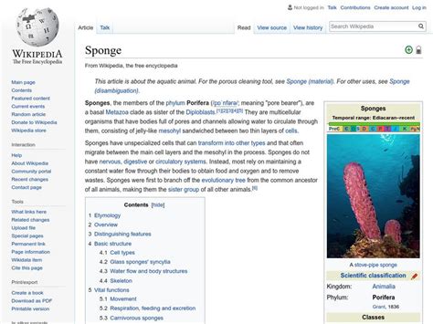 Wikipedia Sponge Handout For 9th 10th Grade Lesson Planet