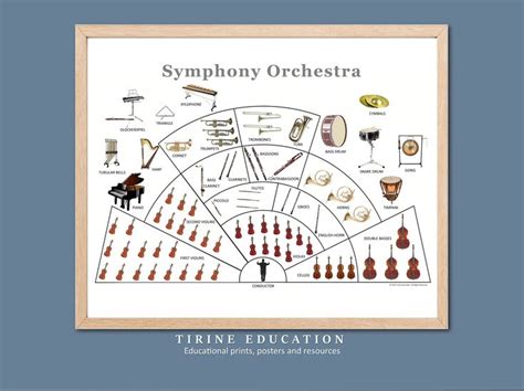 Symphony Orchestra Layout Poster Printable Classroom Orchestra Poster