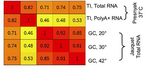 Correlation Of Rna Half Lives At High Temperatures In Budding Yeast