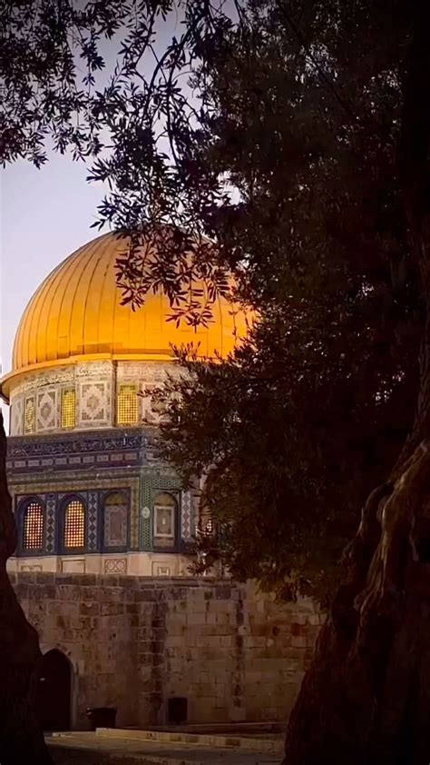 ‎omar Borkan عمر بركان‎ ️🇵🇸 Instagram