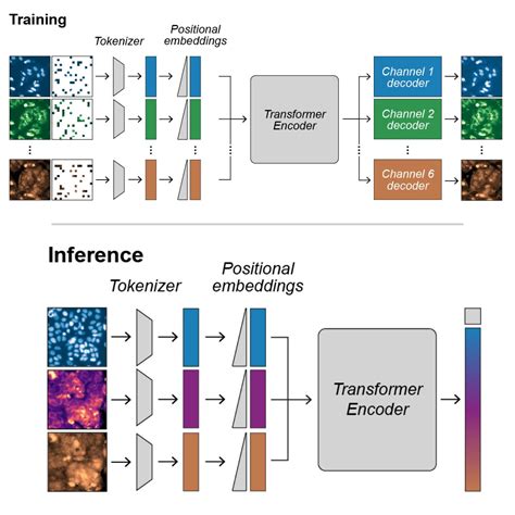 Recursion On Linkedin Ai Ml Tech Techbio Wsl Vit Mae Data Cvpr