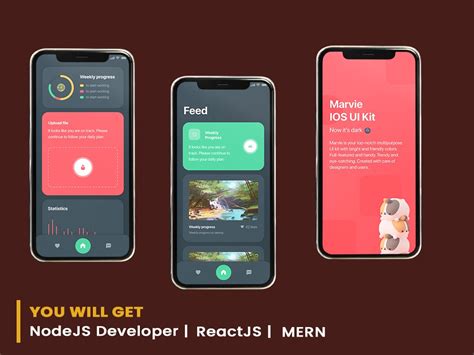 mern reactjs nodejs developer upwork