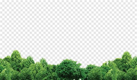 Trees Trees Tree Png PNGEgg