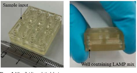 Figure 1 From Development Of A 3d Microfluidic Analytical Device For The Detection Of Pathogenic