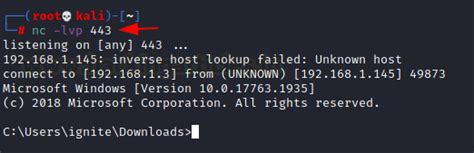Msfvenom Cheatsheet Windows Exploitation Hacking Articles