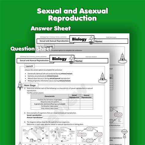 Free Asexual Reproduction Worksheet Answers Download Free Asexual