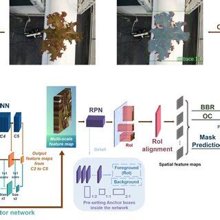 Structure Of Mask R Cnn Download Scientific Diagram