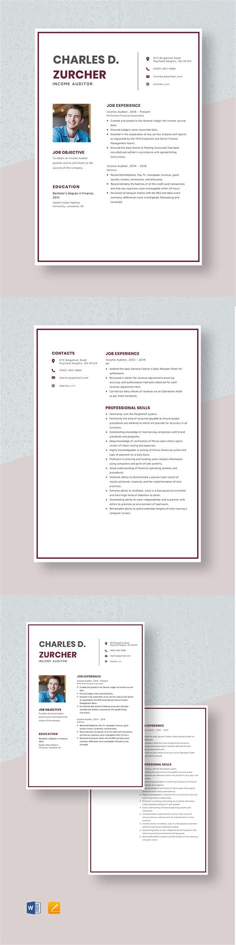 Free Income Auditor Resume Template Word Apple Pages