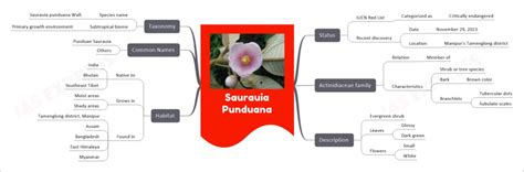 Saurauia Punduana Upsc