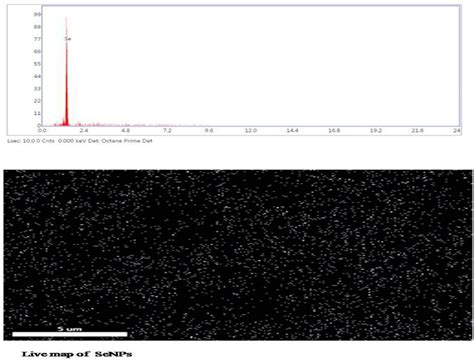 Edx Energy Dispersive X Ray Spectroscopy Analysis Download