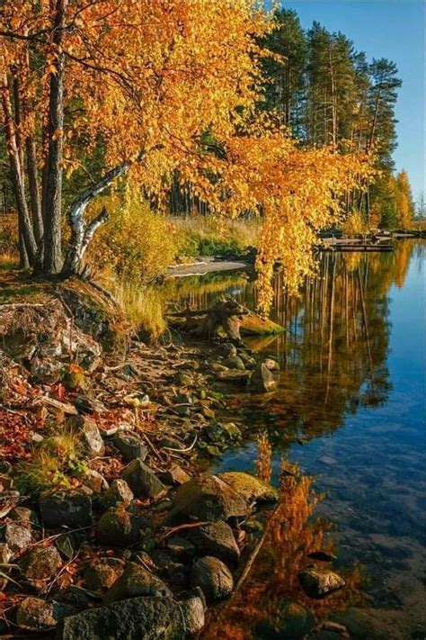 Осенние Фото Вертикальные — Картинки фотографии
