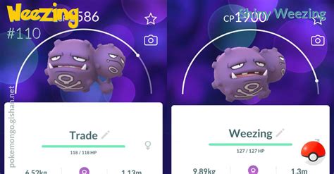 Shiny Weezing Pixelmon