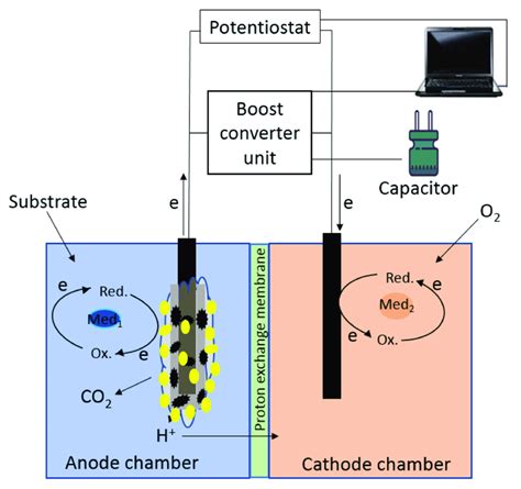 A Schematic Diagram Of Mfc Operation And External Connections