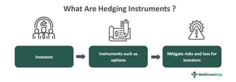 Hedging Instruments Meaning Types Examples Hedging Instruments Meaning Types Examples