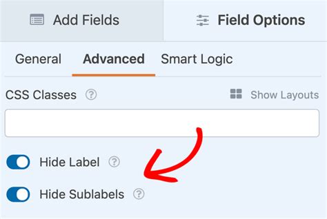 How To Customize The Date Time Field In Wpforms