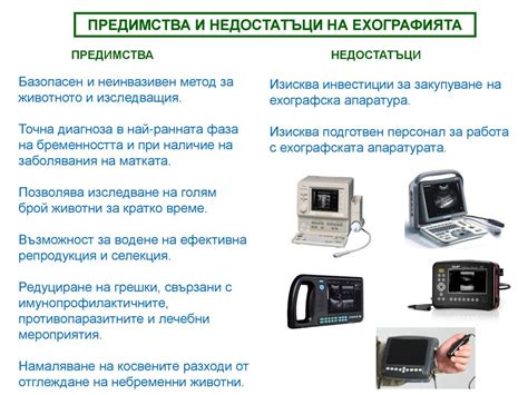 Тракийски университет Ppt Download