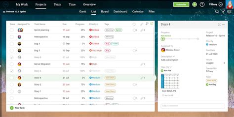 Sample Project Management Flow Chart Free Tools Included