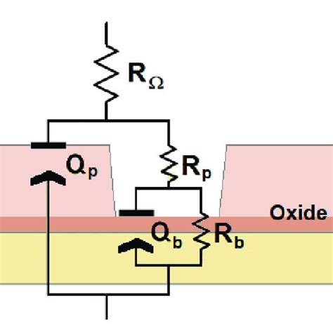 Equivalent Circuit Ec Used In The Generation Of Simulated Data In The Download Scientific