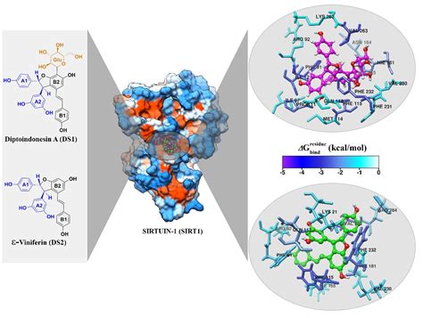 Molecular Modeling And Docking At Dana Mysliwiec Blog