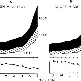 Causes Of Seedling Mortality And Average Number Of Surviving Seedlings