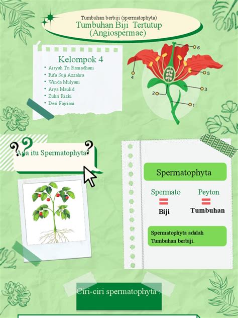 Angiospermae Pdf