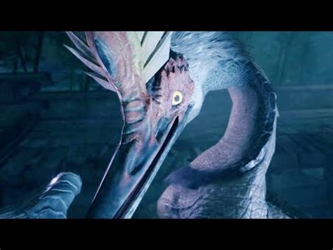 High Rank Aknosom Full Squad Hunt Monster Hunter Rise PS5 60FPS YouTube