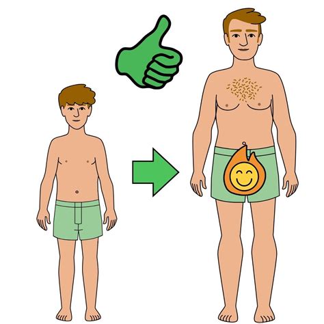 Sexual Arousal And Pleasure Healthy Respect