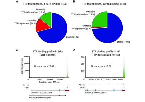 Ttp Binding To 3 0 Utr Is Essential But Not Sufficient Requirement For
