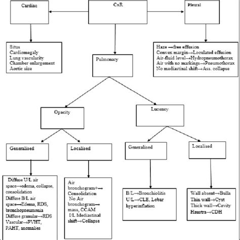 Diagnostic Algorithm Based On Radiographic Features In Performa
