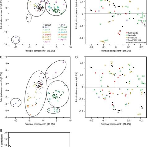 Morphological And Physiological Phenotypes Of The Mutants A To H