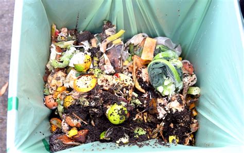 How Composting In Dc Can Help Reduce Food Waste In Landfills