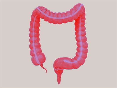 Laparoscopic Appendectomy Johnson And Johnson Institute