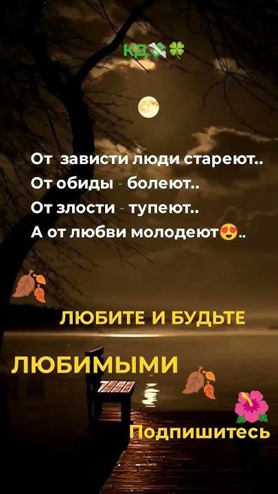 Любите и будьте любимы Youtube