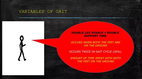 Spatial And Temporal Variables Of Gait Pptx Physical Therapy Wellness