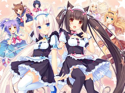 Maple Nekopara Danbooru