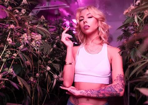 Lil Debbie Scrolller