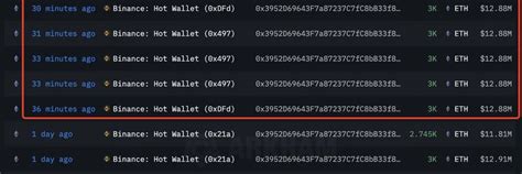 Eth Whales Accumulating Massive Binance Withdrawals Signal Bullish