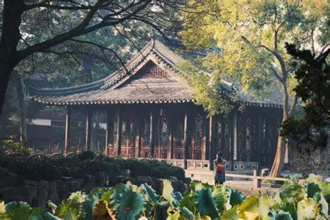 国内12个赏荷胜地别错过，周末拍照走起~ 知乎