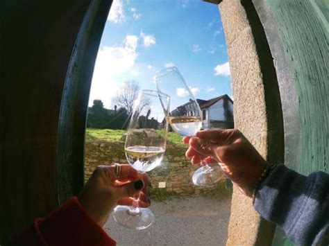 포르투에서 점심 식사와 시음이 포함된 그린 와인 지역 가이드 투어 Kkday