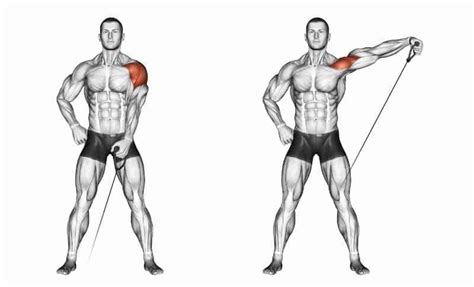 The 10 Best Side Delt Exercises Updated 2024 Jacked Gorilla