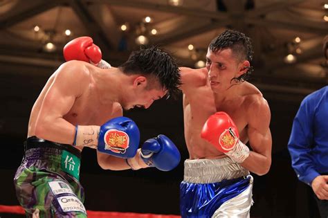 【ボクシング】ibf世界ライトフライ級戦 小西伶弥、大差判定負け Bbmスポーツ ベースボール･マガジン社