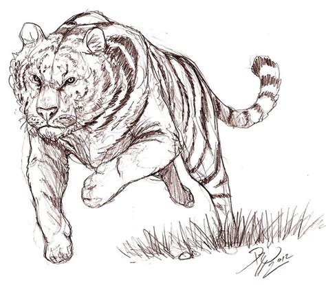 Bengal Tiger By Metalreaper On Deviantart